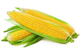CORN | Symbols
